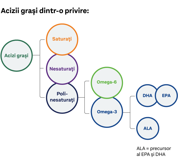 Efectul acizilor grași Omega-3: Toate informațiile despre Omega-3 de ...